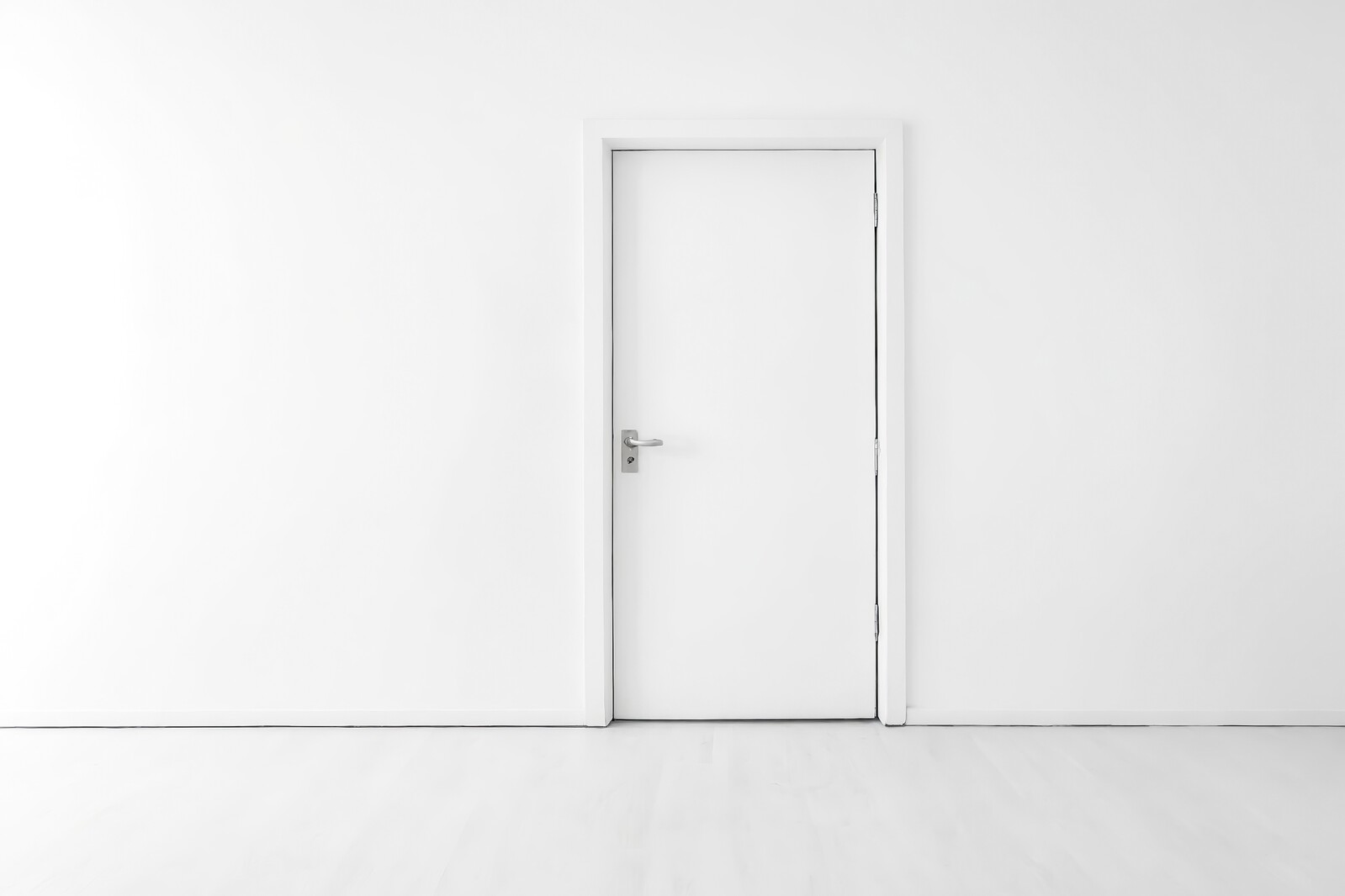 Flush Hollow Core Door